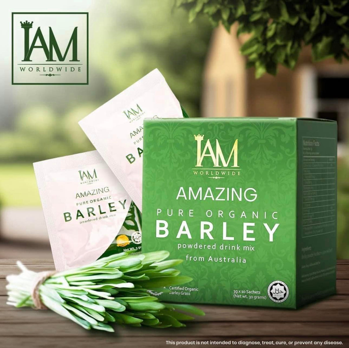 1 box of Amazing Pure Organic Barley – IAM Amazing Barley Philippines ...
